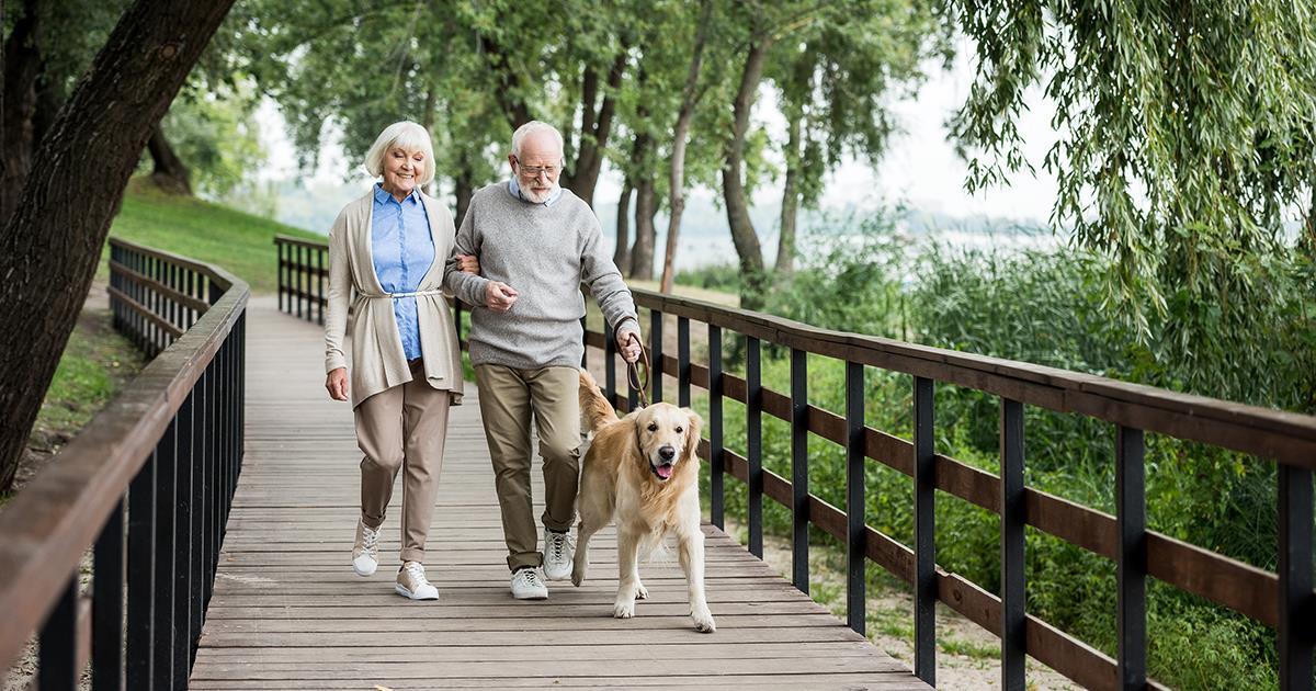 Staycation Ideas for Older Adults