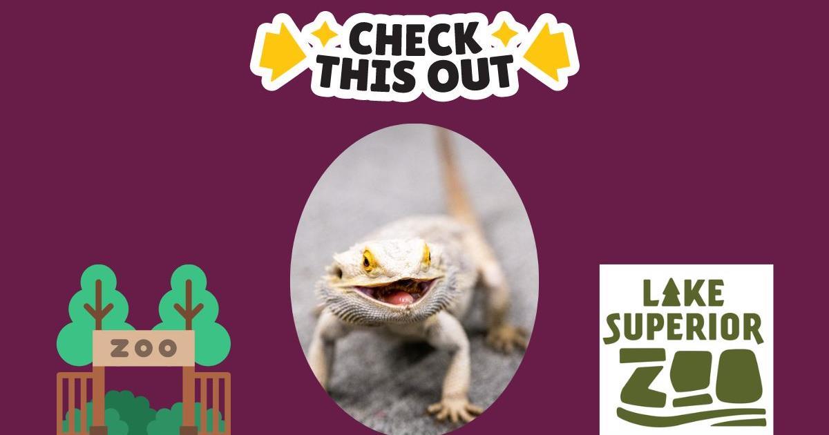 Local Spotlight: Lake Superior Zoo in Duluth, MN